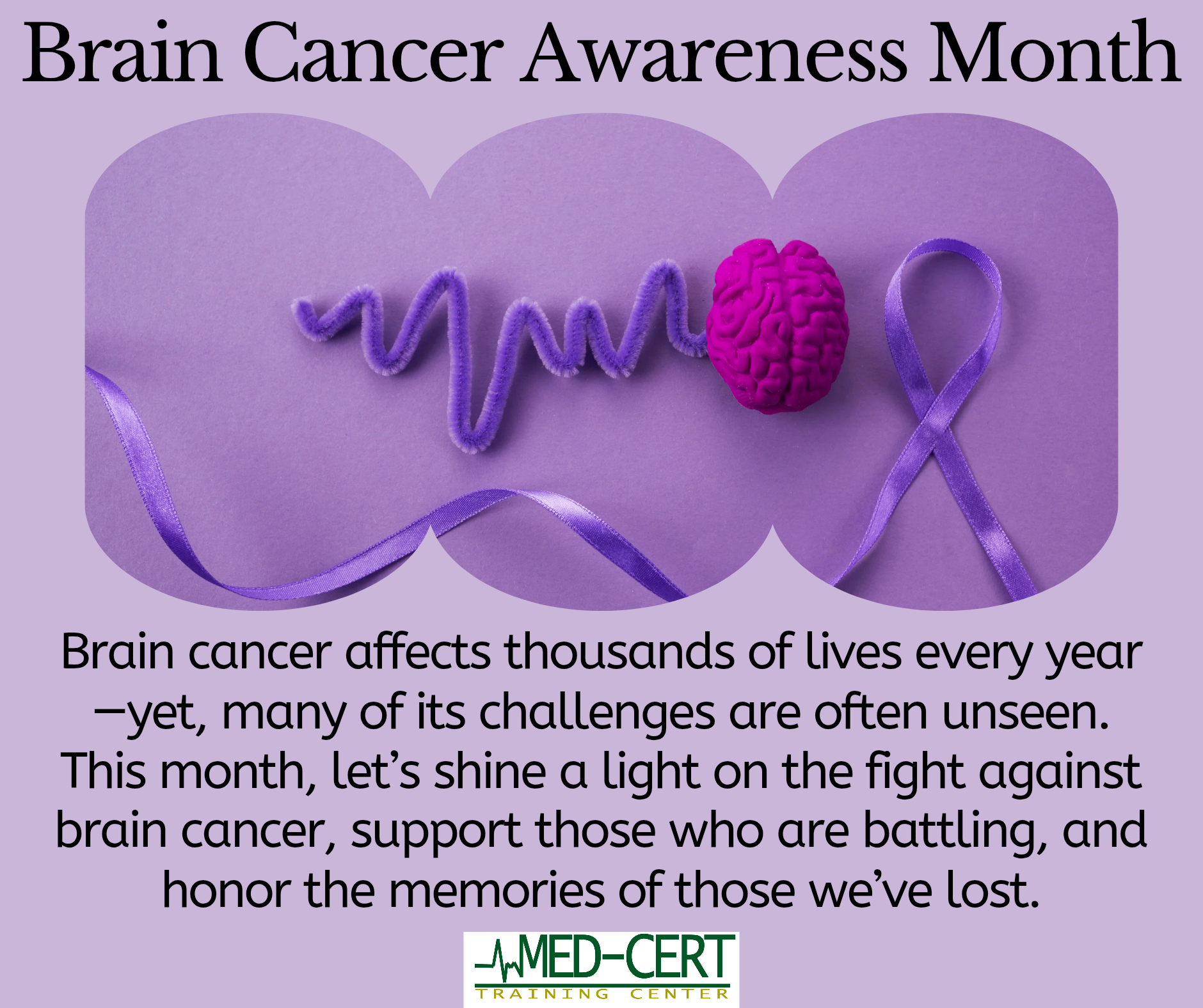 Make a Difference During Brain Cancer Awareness Month - Med-Cert ...